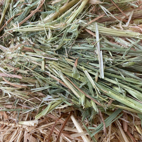 Oat Hay For Horses